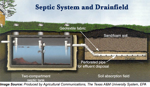 How Septic Systems Work: Components & Maintenance Guide